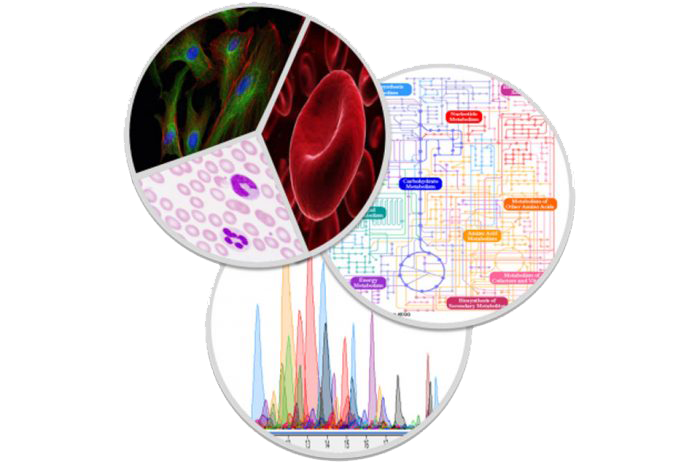 Analisi Metabolomica